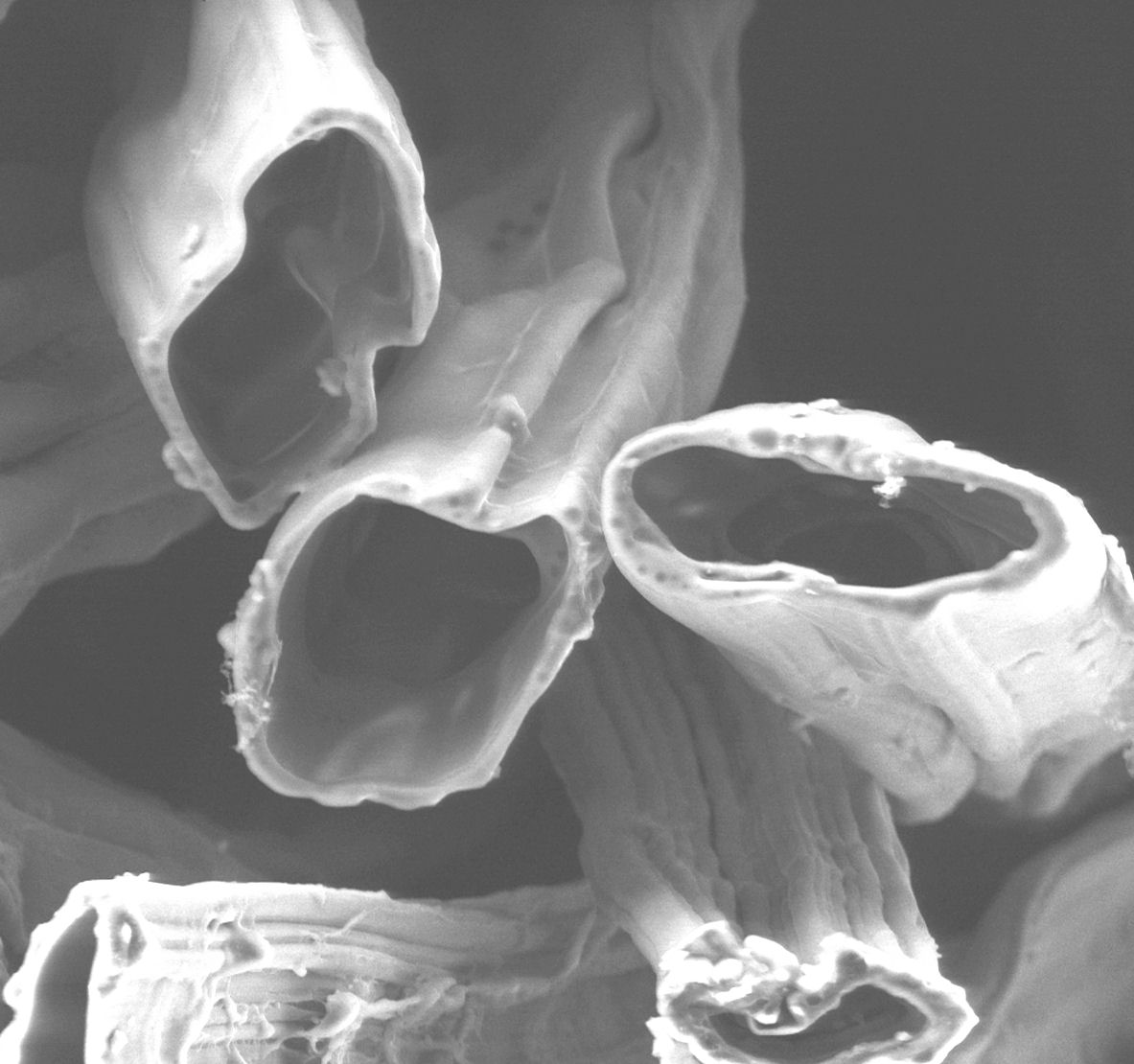 Innovationspartner Kelheim Fibres und Gebr. Otto präsentieren Konzept ...